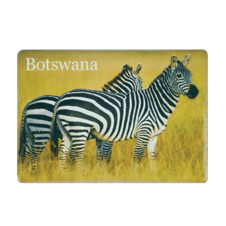 Africa's Legends - Botswana, Zebra
